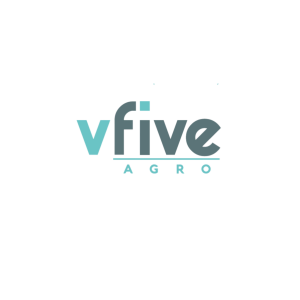VFive Group - Committed to Excellence